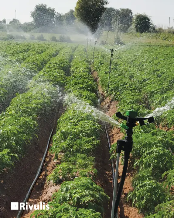 Strategic Advertising and Branding Company | Prism Adverto